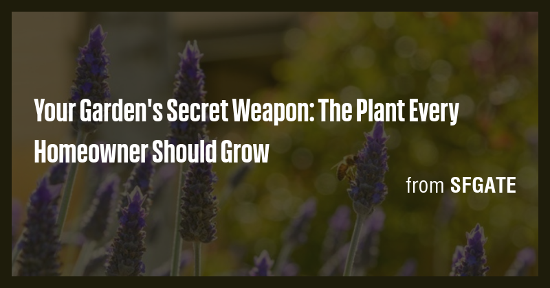 Your Garden's Secret Weapon: The Plant Every Homeowner Should Grow ...